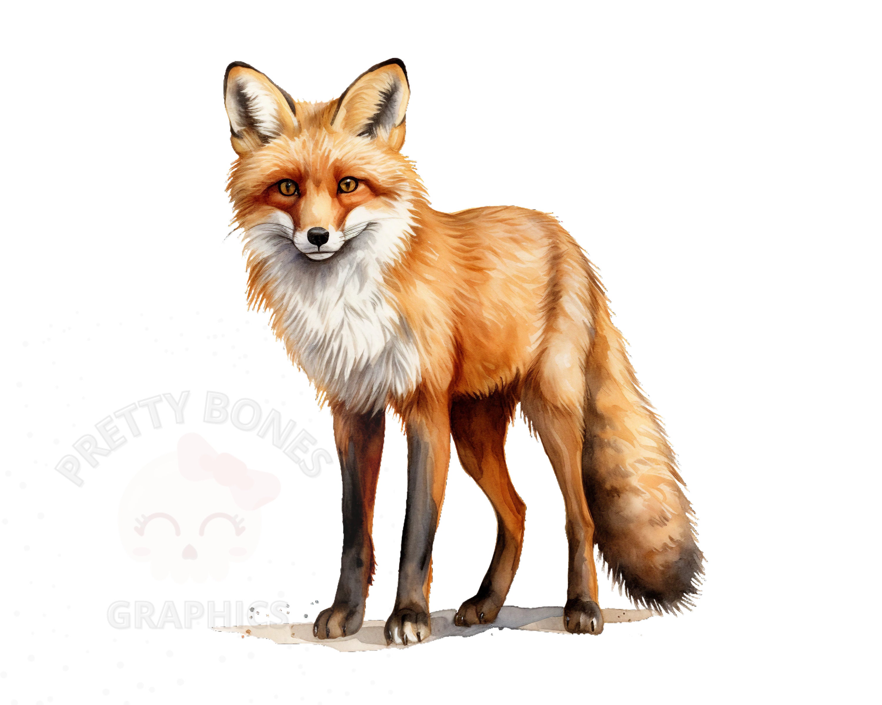 Watercolor Red Fox Clipart, PNG Instant Download File, Fox Digital ...