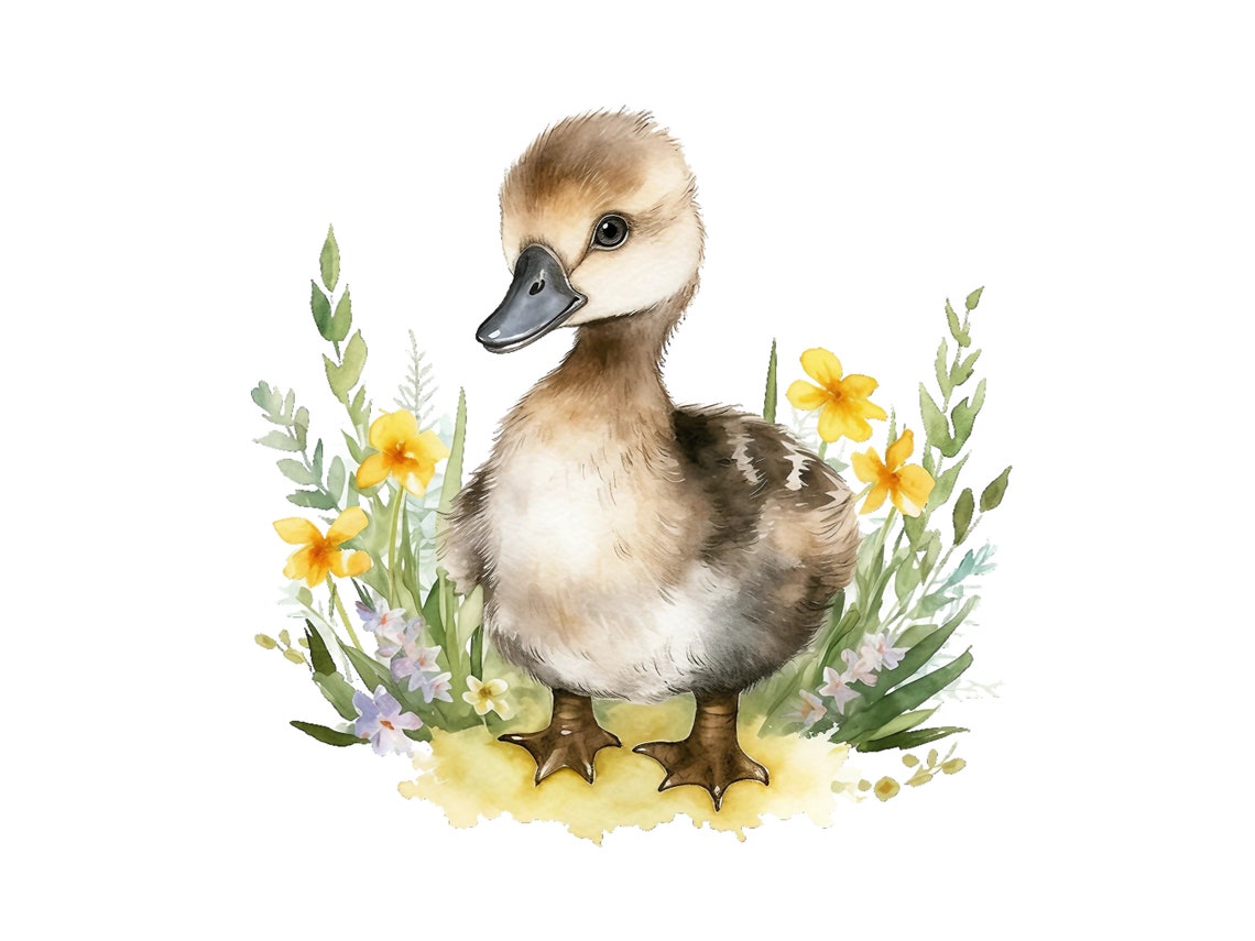 Watercolor Gosling PNG Digital Download Watercolor Clipart - Etsy