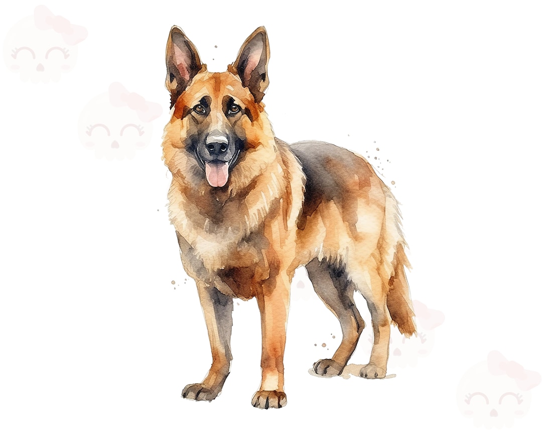 Watercolor German Shepherd Dog Clipart, PNG Digital Download File, Card ...