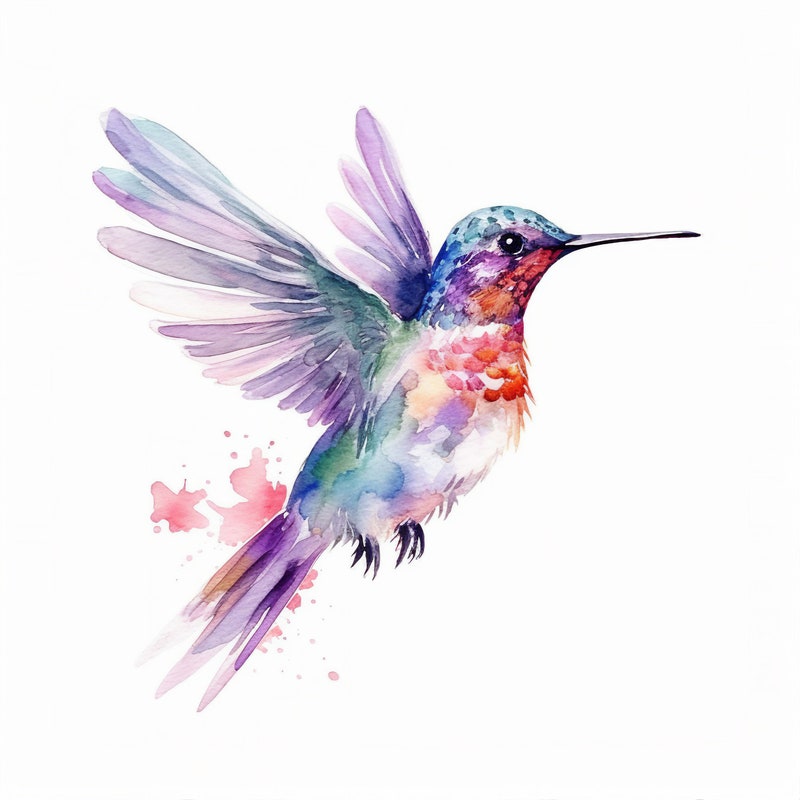 Hummingbird Watercolor - Etsy