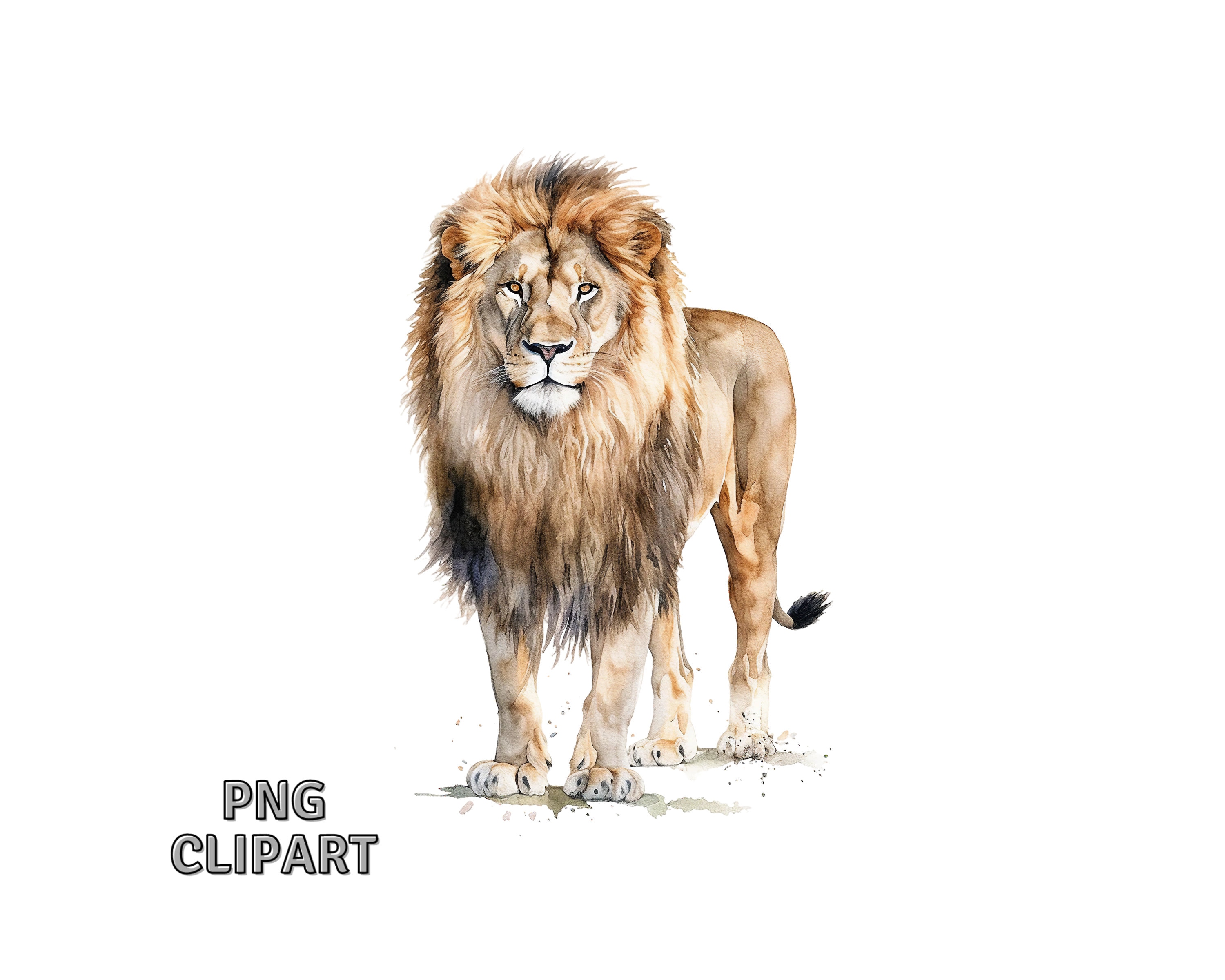 Watercolor Lion Clipart, PNG Instant Download File, Digital Paper Craft ...