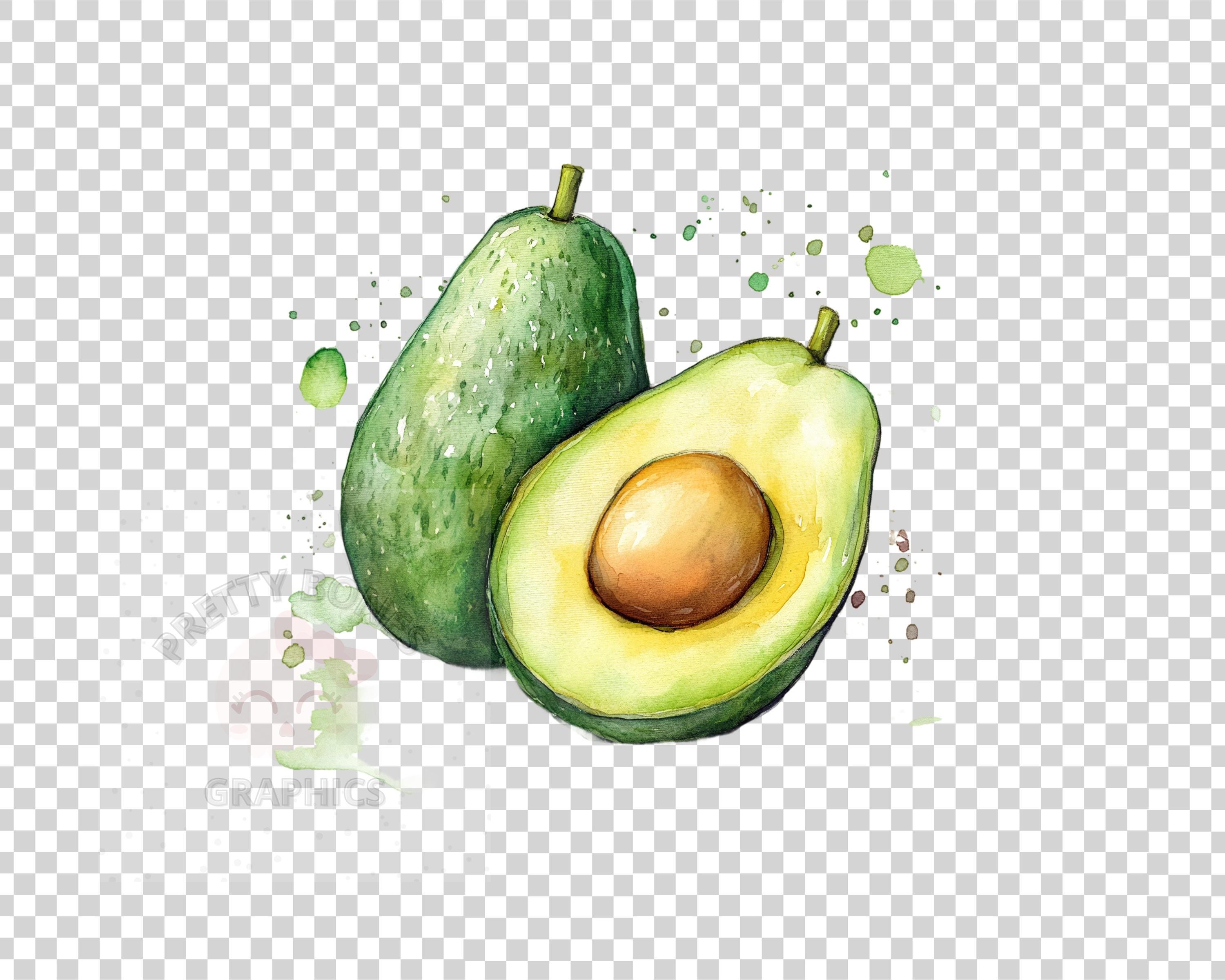 Avocado Clipart, PNG Instant Download File, Digital Design for Crafting ...