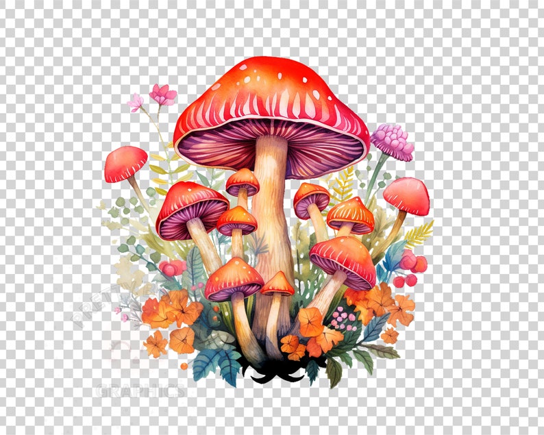 Watercolor Mushroom Clipart, PNG Instant Download File, Digital Design ...