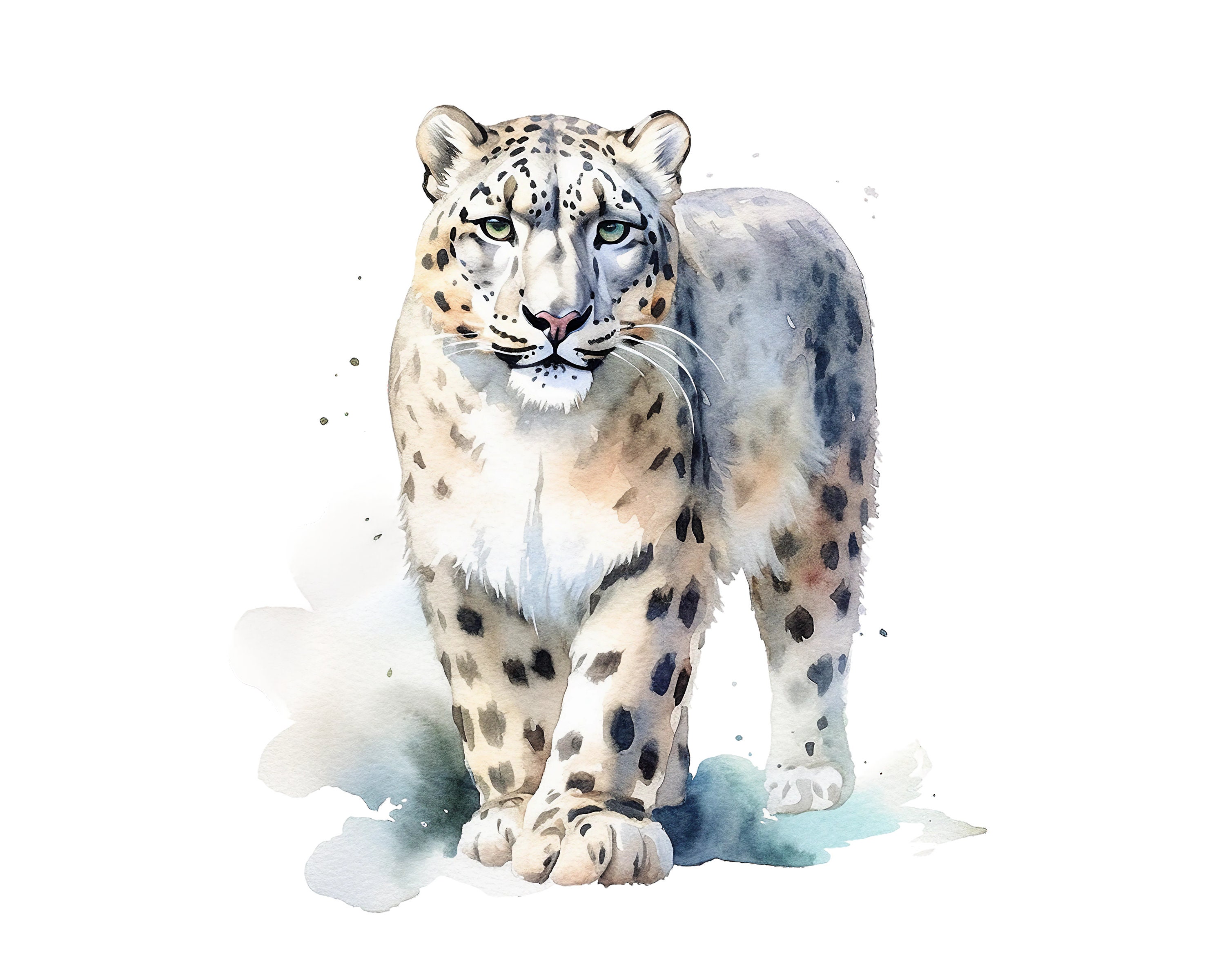 Watercolor Snow Leopard PNG Clipart, Digital Download, Card Making ...