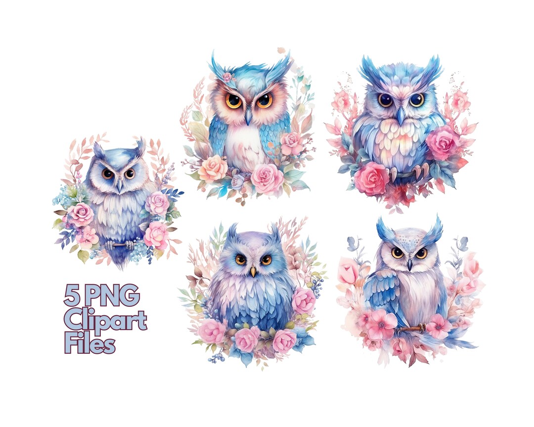 Floral Owl Clipart Bundle, PNG Digital Download, Digital Paper Craft ...