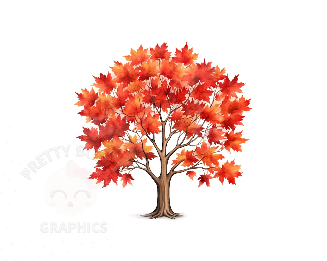 Maple Tree Clipart, PNG Instant Download File, Watercolour Tree Digital ...