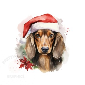 Christmas Dachshund Clipart, PNG Instant Download File, Digital Paper ...