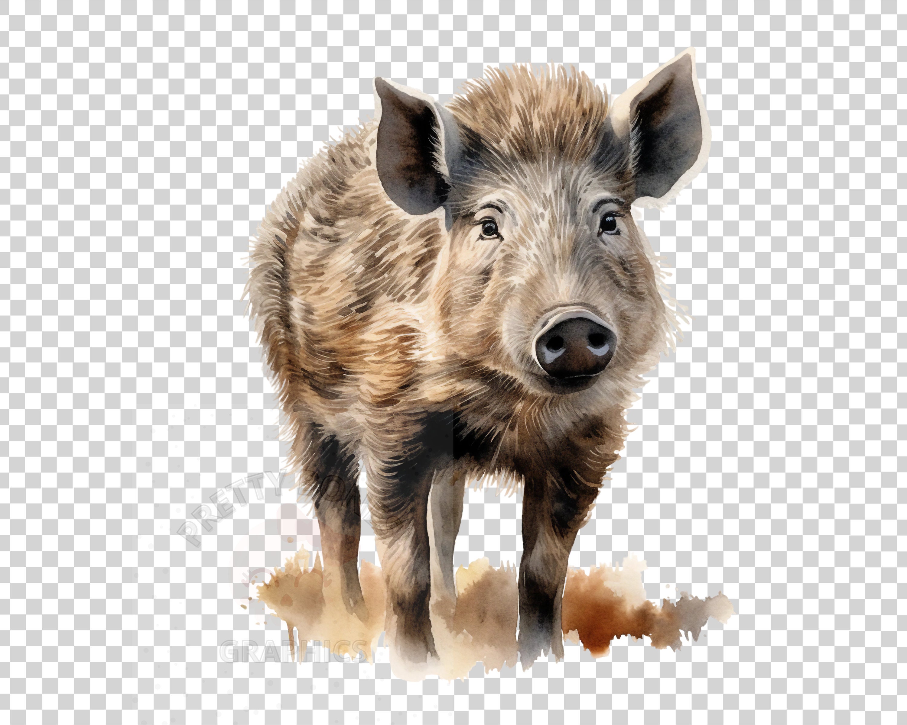 Watercolor Wild Boar Clipart, PNG Instant Download File, Digital Design ...