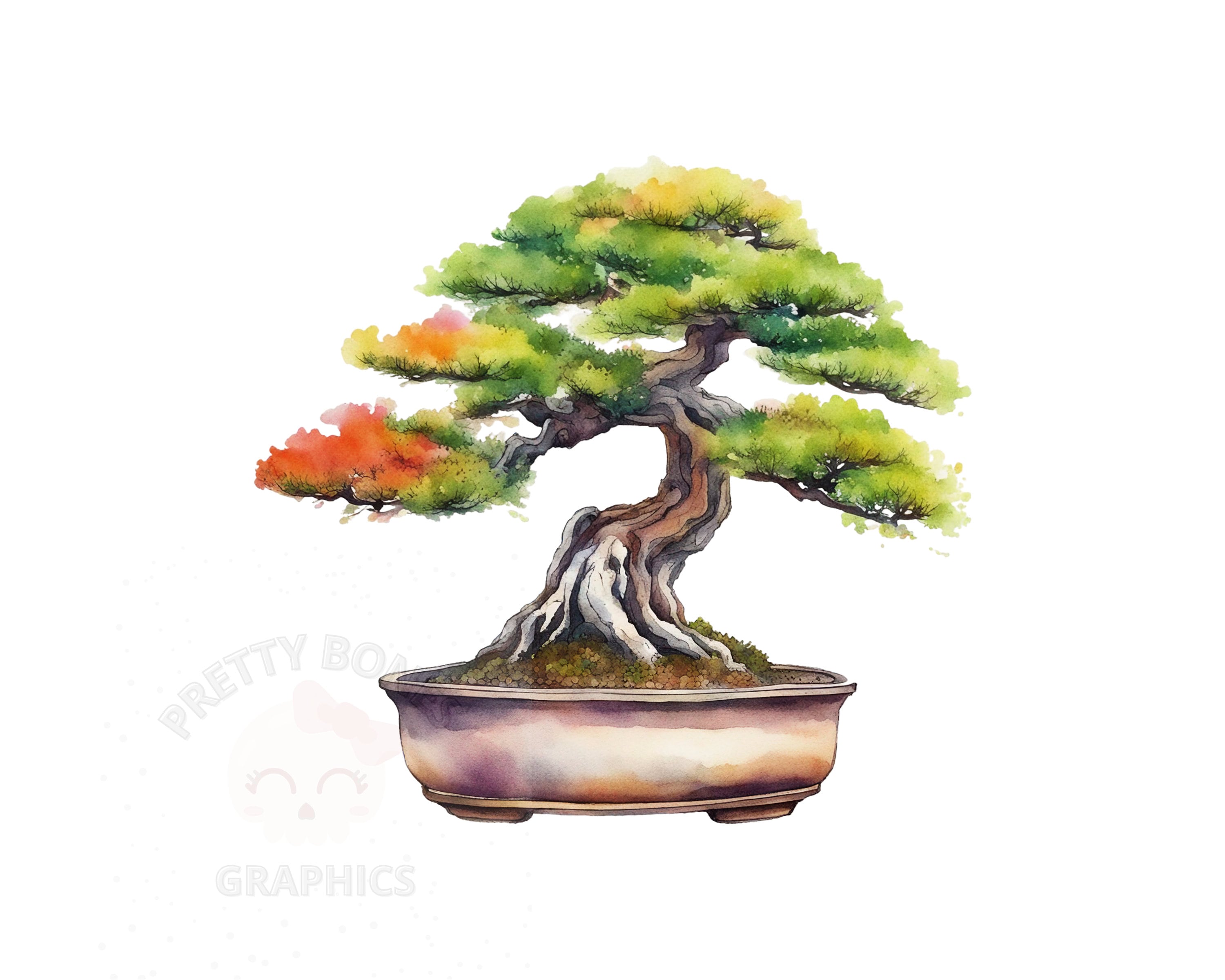Watercolor Bonsai Tree Clipart PNG Instant Download File - Etsy