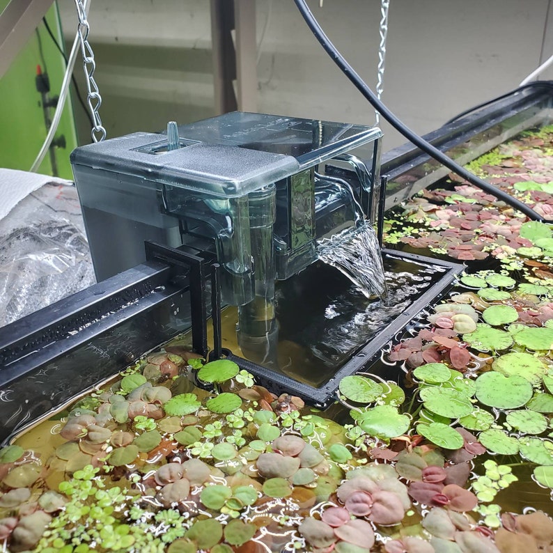 Deluxe Floating Plant Barrier Corral Self Leveling Free - Etsy