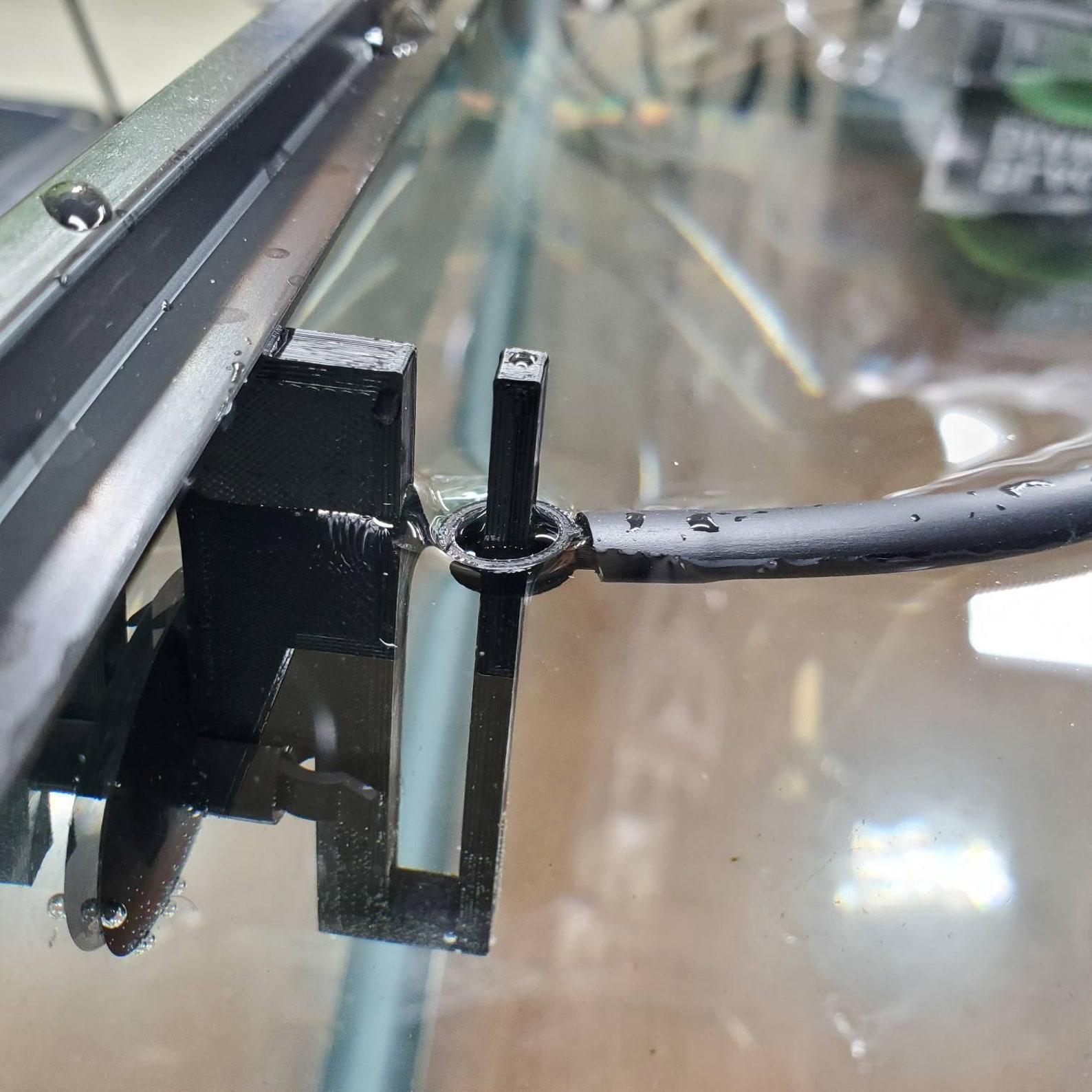 Floating Plant Corral Self Leveling Free Mystery Plant - Etsy