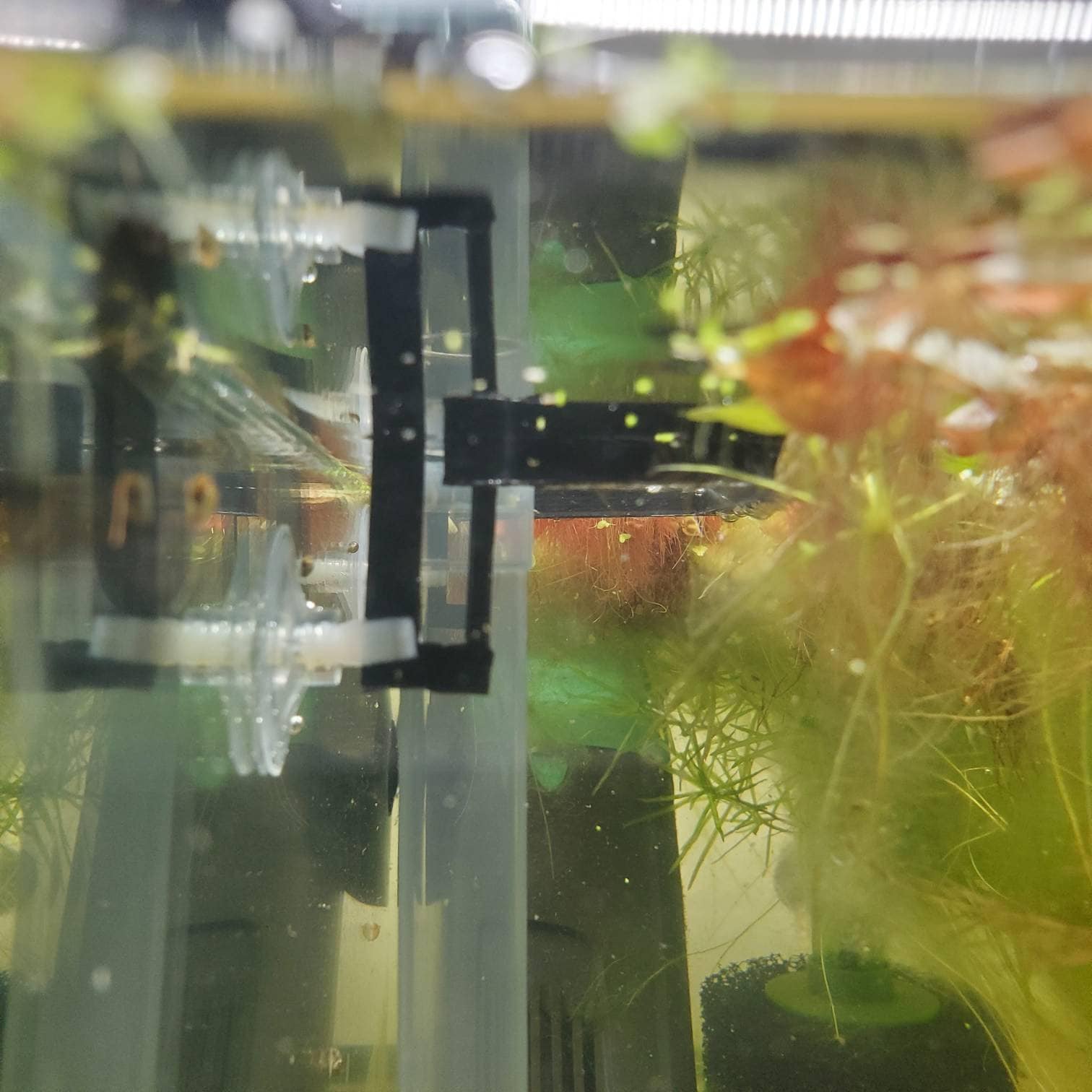 Deluxe Floating Plant Barrier Corral Self Leveling Free - Etsy UK