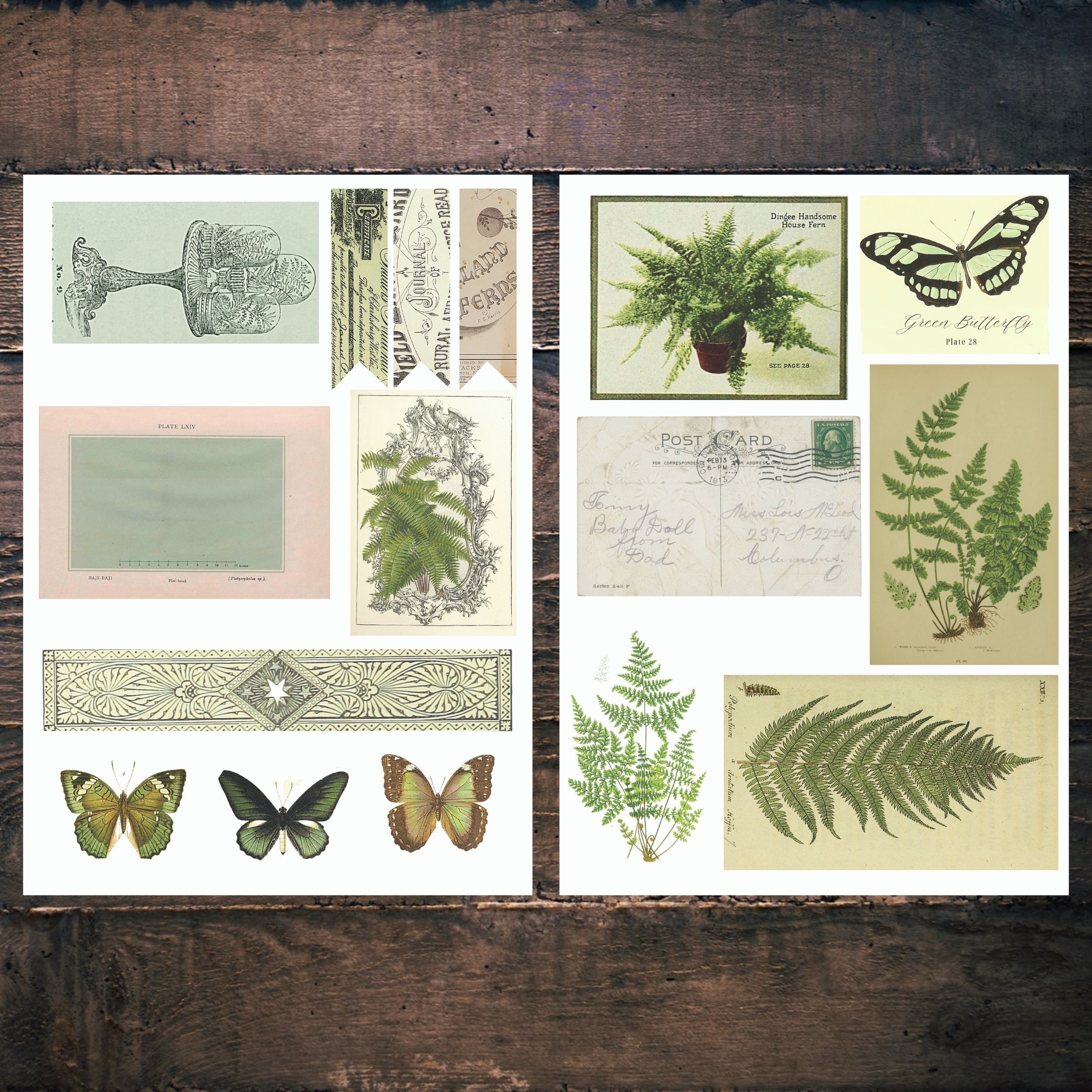 Digital Ephemera Botanical Ephemera Ephemera Pack Junk - Etsy UK