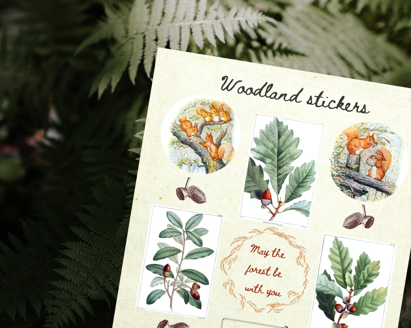 AESTHETIC forest printable stickers Woodland squirrel acorn | Etsy