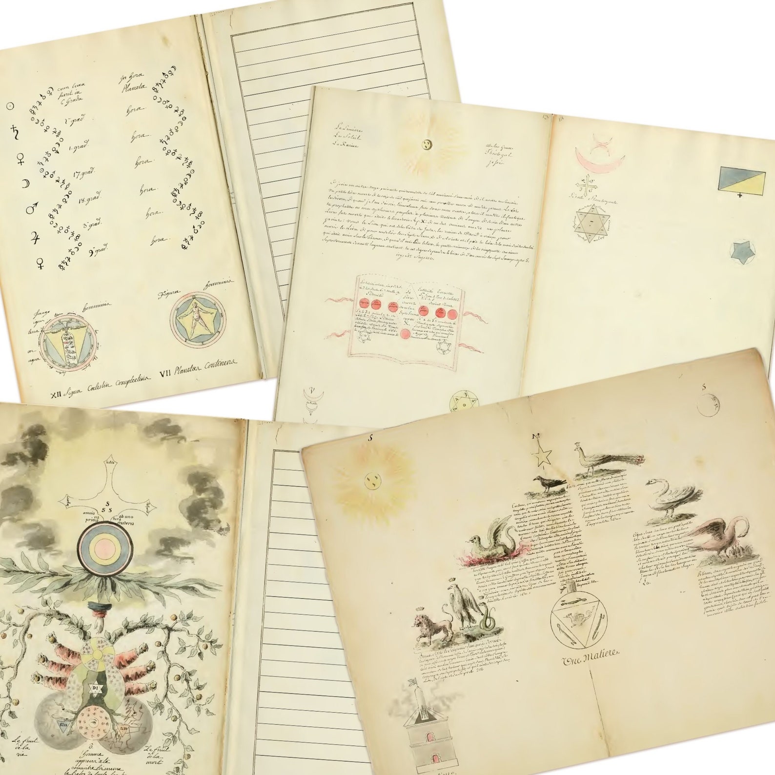 10 Medieval Alchemy Pages Magic Spelling Printable Sheets - Etsy