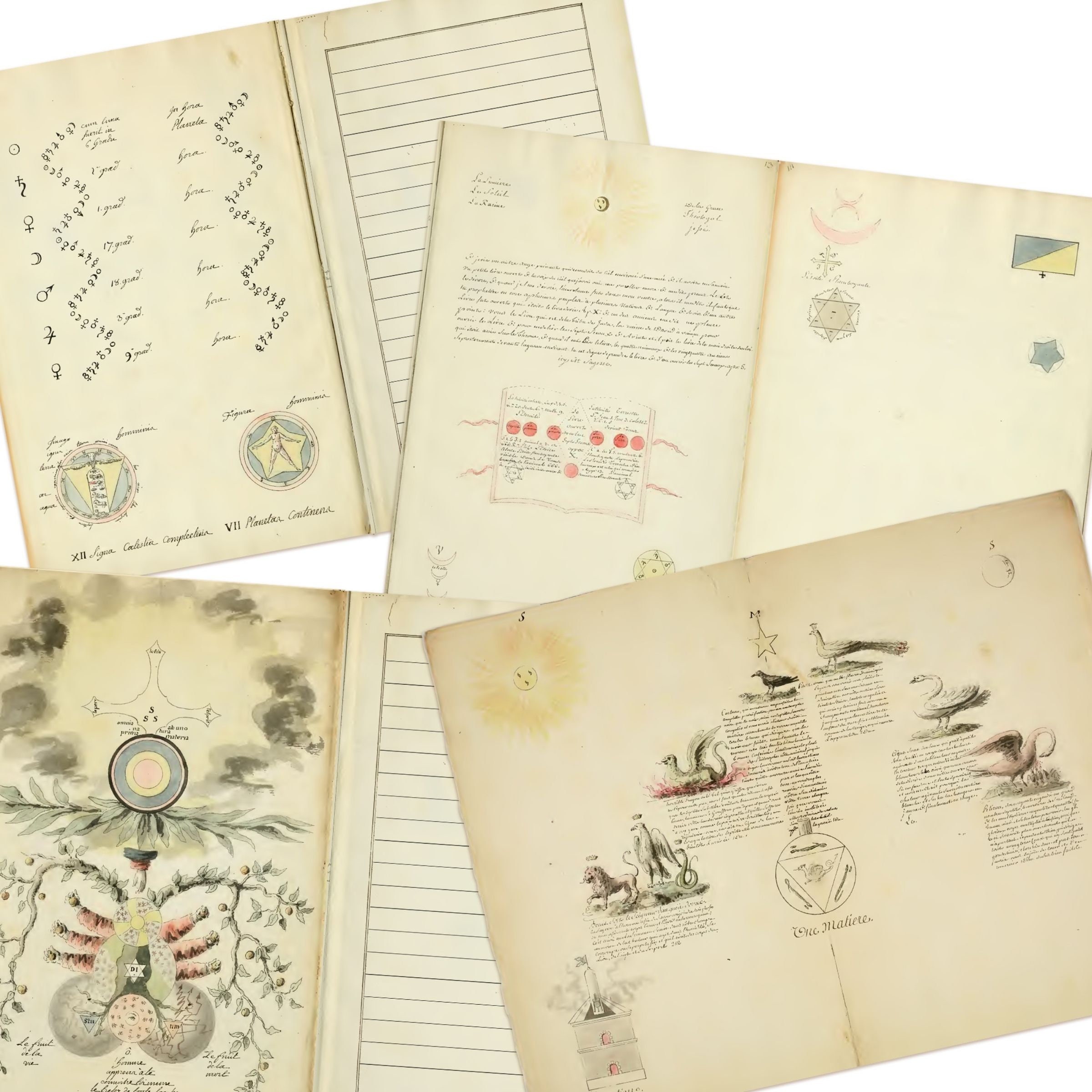 10 Medieval Alchemy Pages Magic Spelling Printable Sheets - Etsy