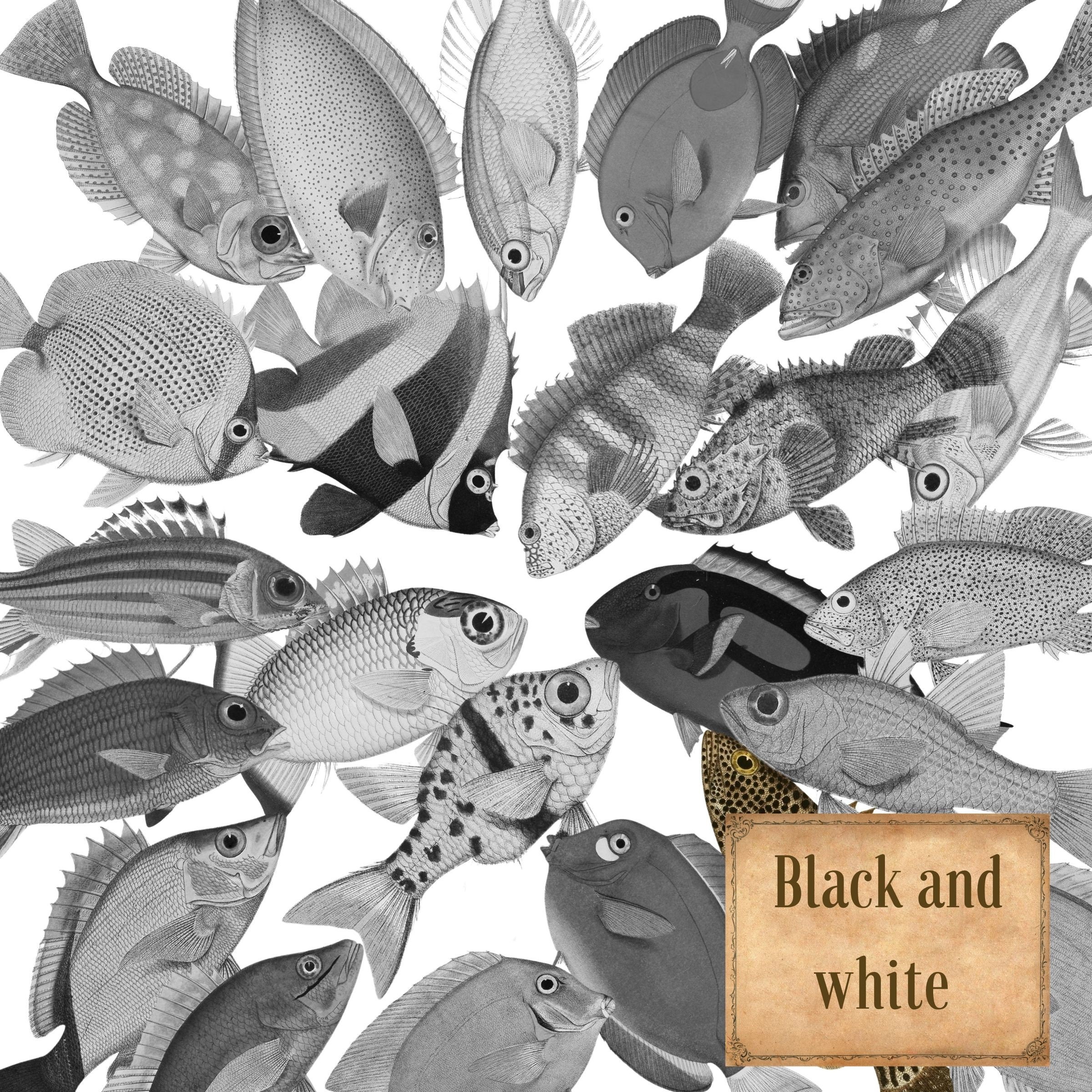 Printable Fussy Cut Fishes Vintage botanical digital fishes | Etsy