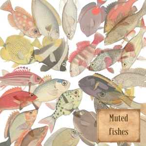 Printable Fussy Cut Fishes Vintage Botanical Digital Fishes Digital ...