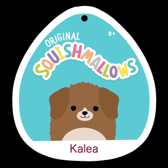 Custom Pet Squishmallow Tag Squishmallows Digital Etsy