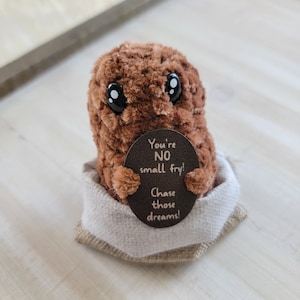 Native Potato Tags/potato Pun Patches/set of 8/ready to Ship/crochet ...