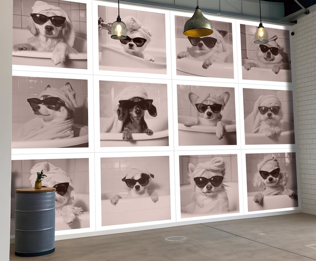 Custom Dog Mural, Vet Clinic Wall Art, Colorful Dog Breeds Decor, Dog ...