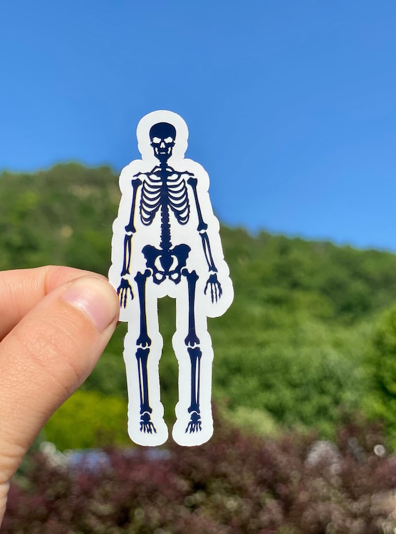 Full Skeleton Sticker - Etsy