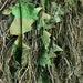 Youth Ghillie Suit 3D Leafy Hybrid. Jacket and Pants - Etsy