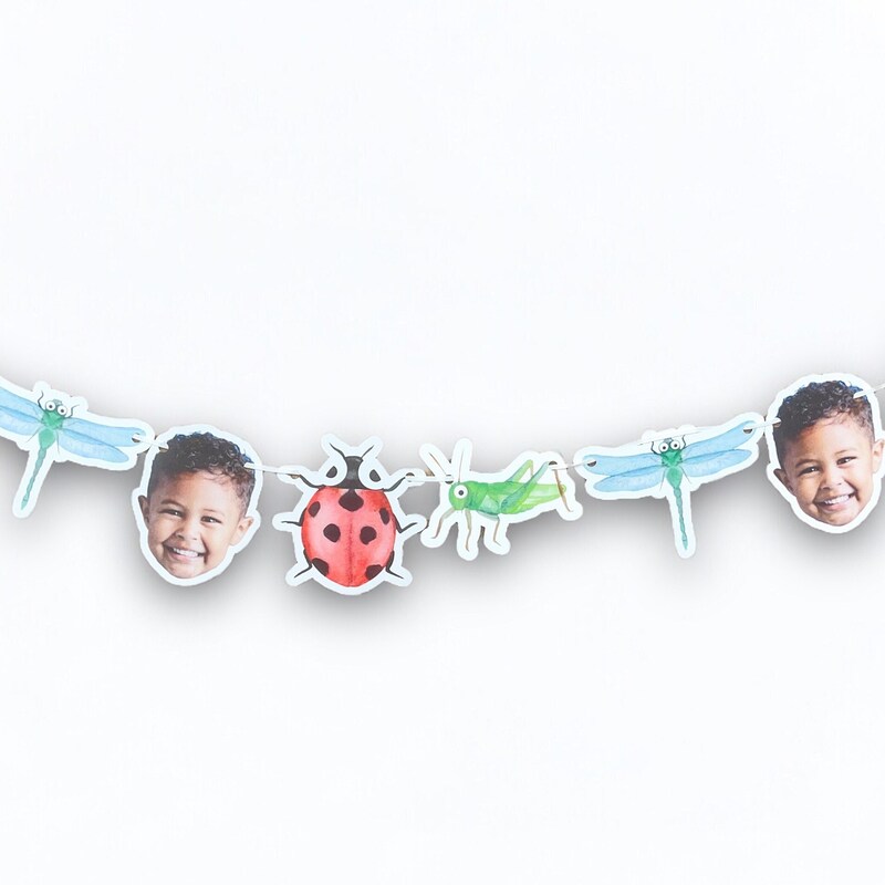 Bug Birthday Party - Etsy