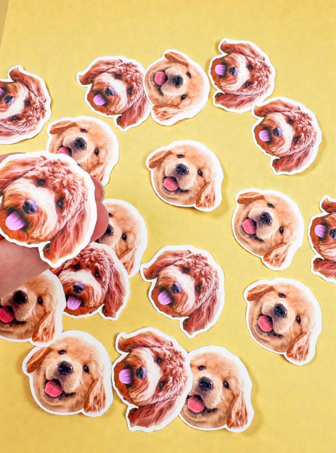 Confetti | Dog Birthday | Face Photo | Puppy Mom Dad | Personalized ...