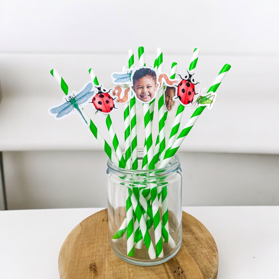 Bug Birthday Party Straws | Insect Party Decorations | Bug Birthday ...