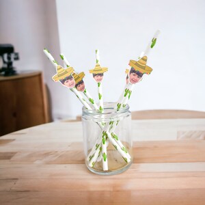 Fiesta Straws | Drinking Straws | Fiesta Birthday | Fiesta Birthday ...