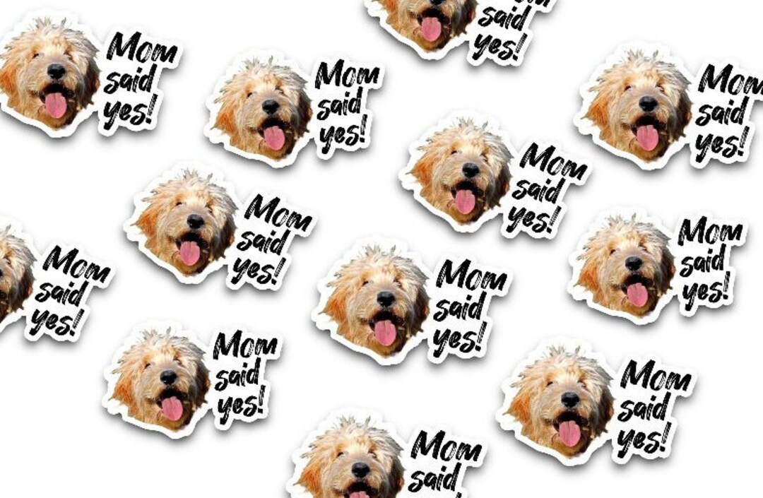 Pet Face Confetti Personalized With Face Made for Bachelorette Party ...