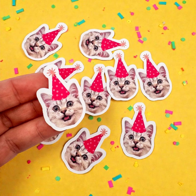 Cat Confetti - Etsy