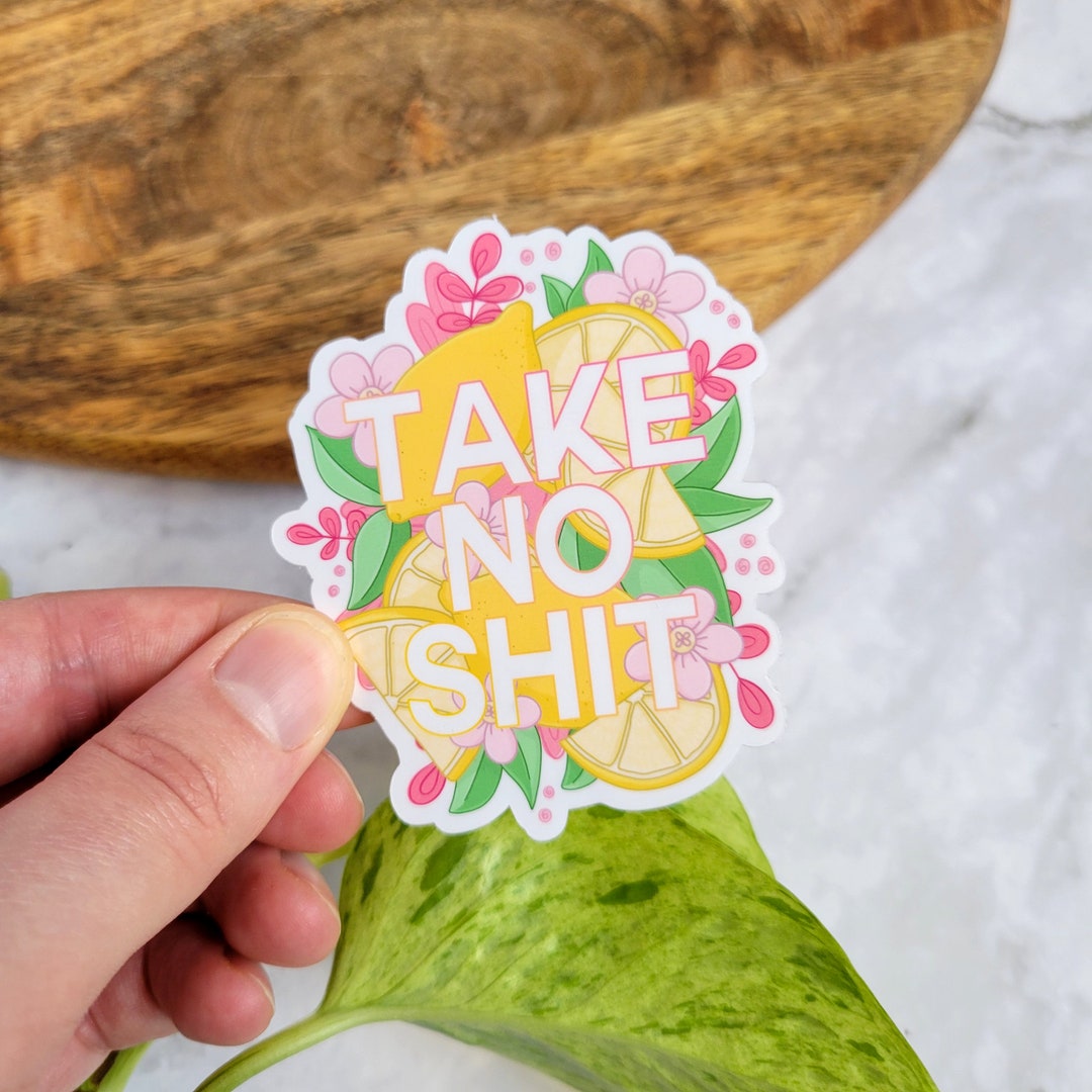 Take No Shit 3"x2.5" Vinyl Sticker - Lemons, Pink Lemonade - Etsy