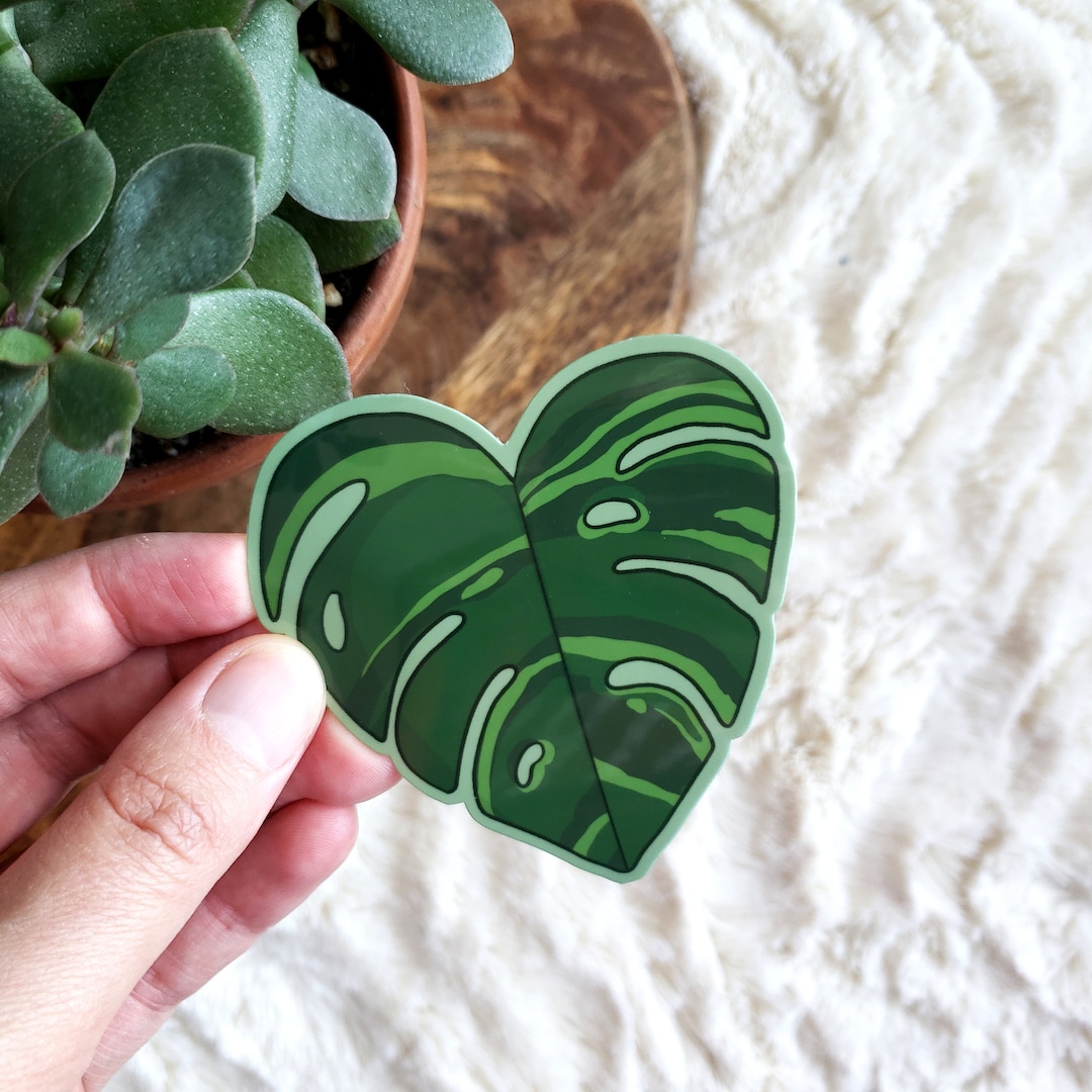 Monstera Heart 3 Vinyl Sticker glossy Green Plant Love Plant Parents ...