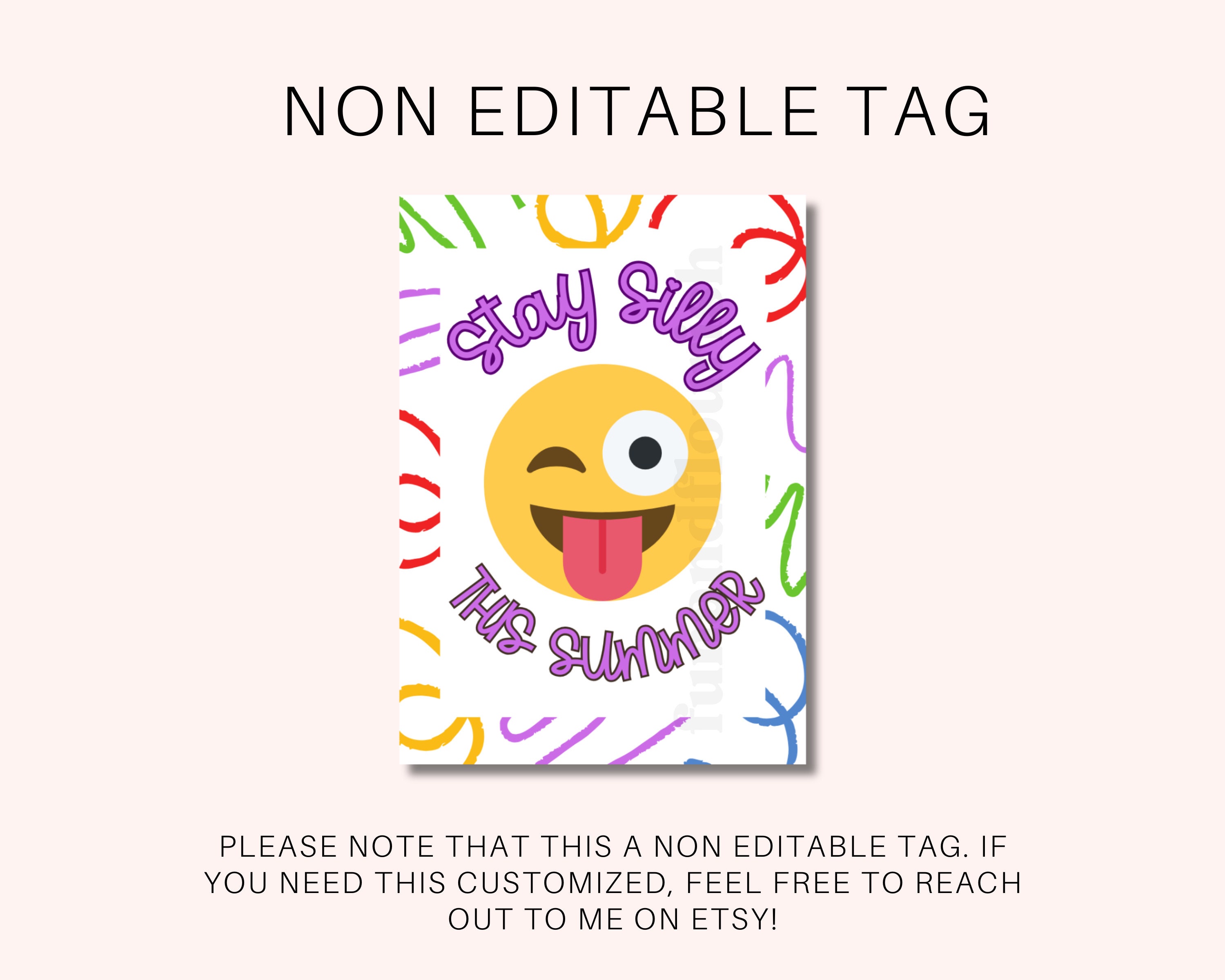 End of the Year Silly Printable Tag | Silly String Tag | Class Student ...