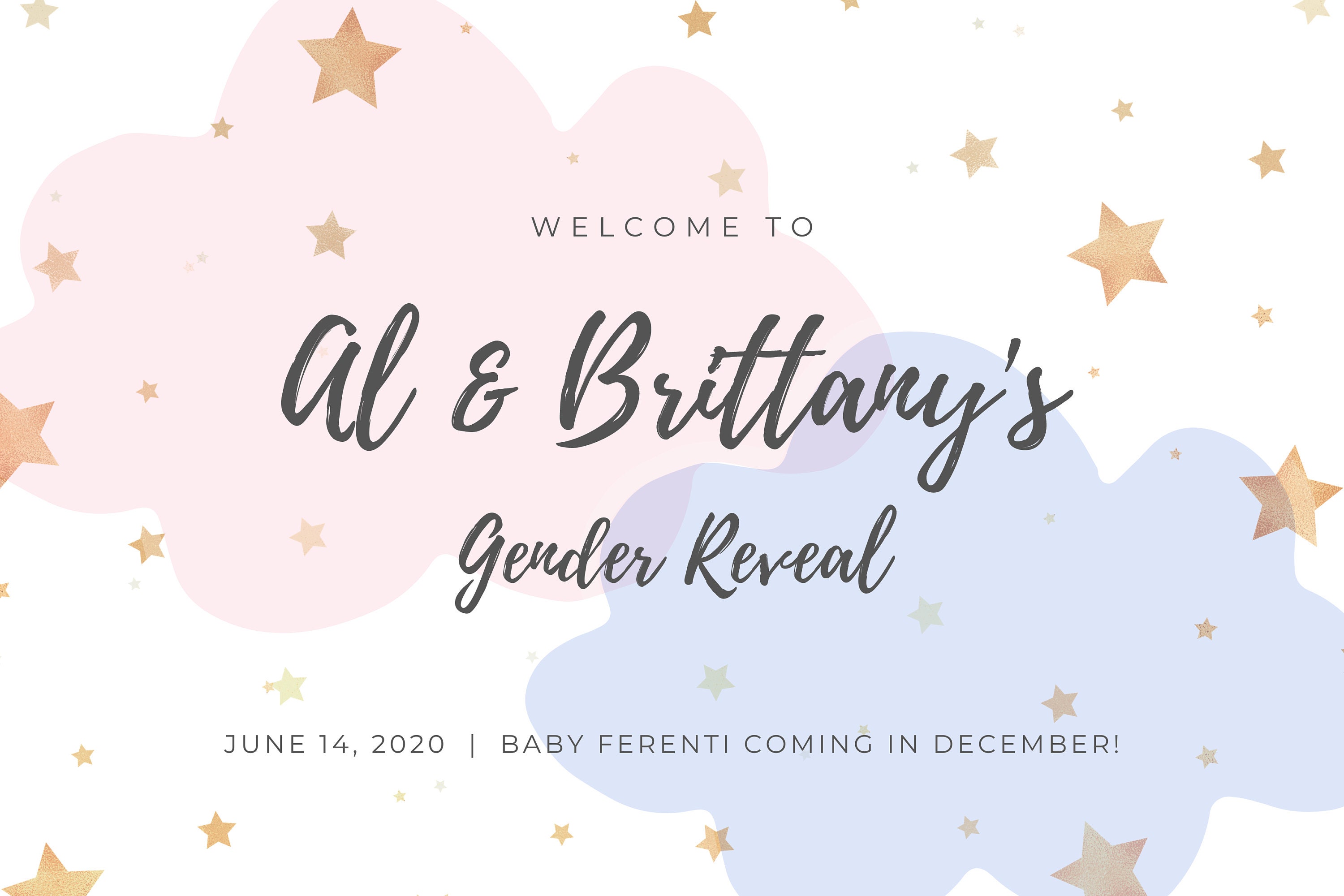 Twinkle Twinkle Little Star Welcome Sign Gender Reveal/baby Shower - Etsy