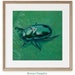 Scarab Beetle Art Printable Digital Download From Original Painting ...