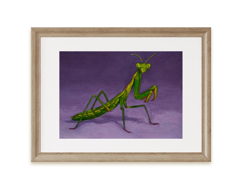 Praying Mantis Animal Art Print Digital Download From Original Painting ...