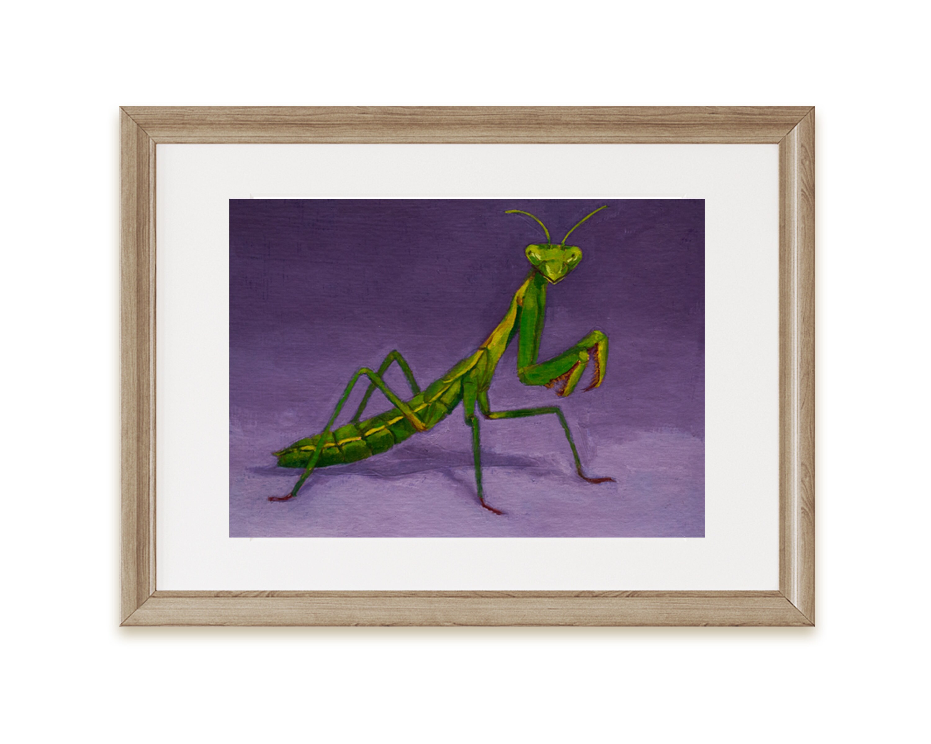 Praying Mantis Animal Art Print Digital Download From Original Painting ...