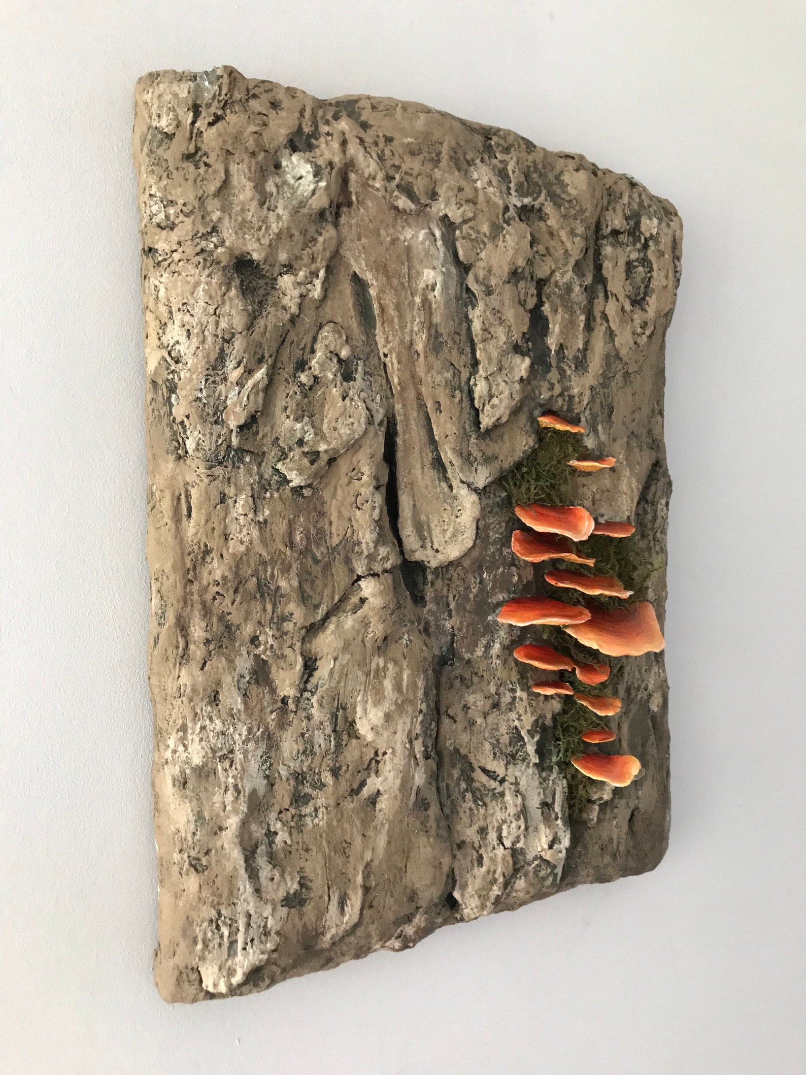3D Tree Bark Canvas Wall Art Sculpture With Mushrooms & Preserved Moss ...