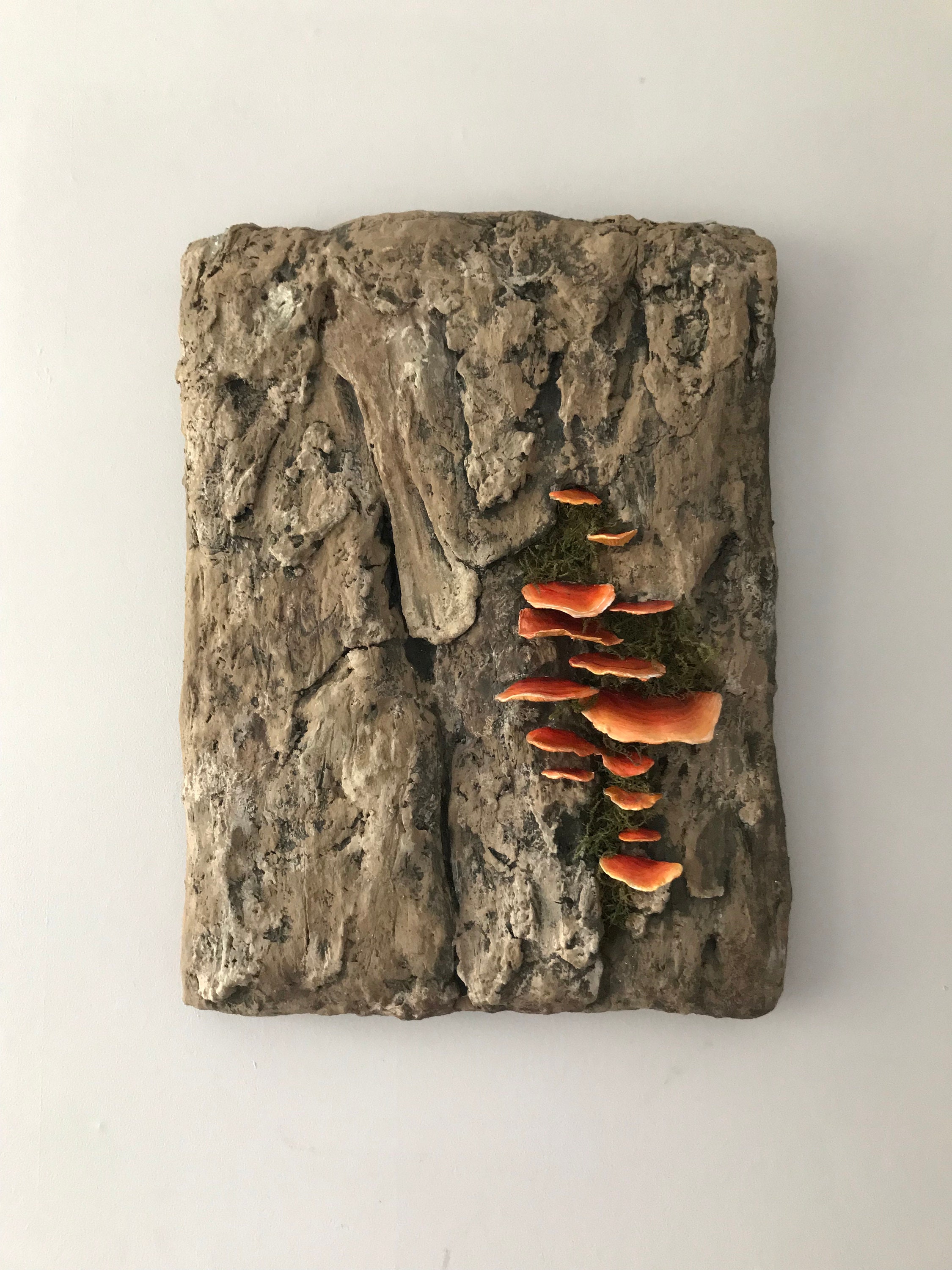 3D Tree Bark Canvas Wall Art Sculpture With Mushrooms & Preserved Moss ...