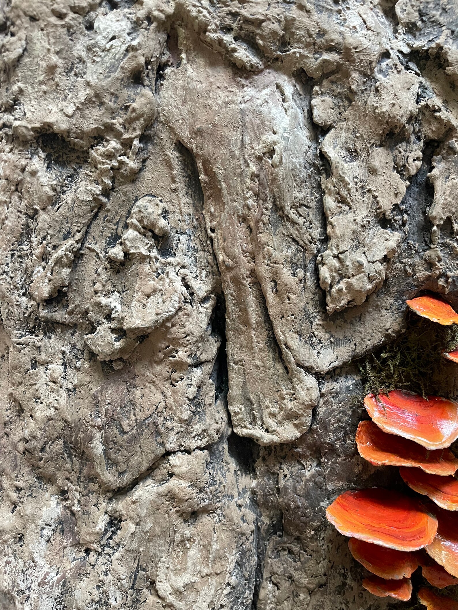 3D Tree Bark Canvas Wall Art Sculpture With Mushrooms & Preserved Moss ...