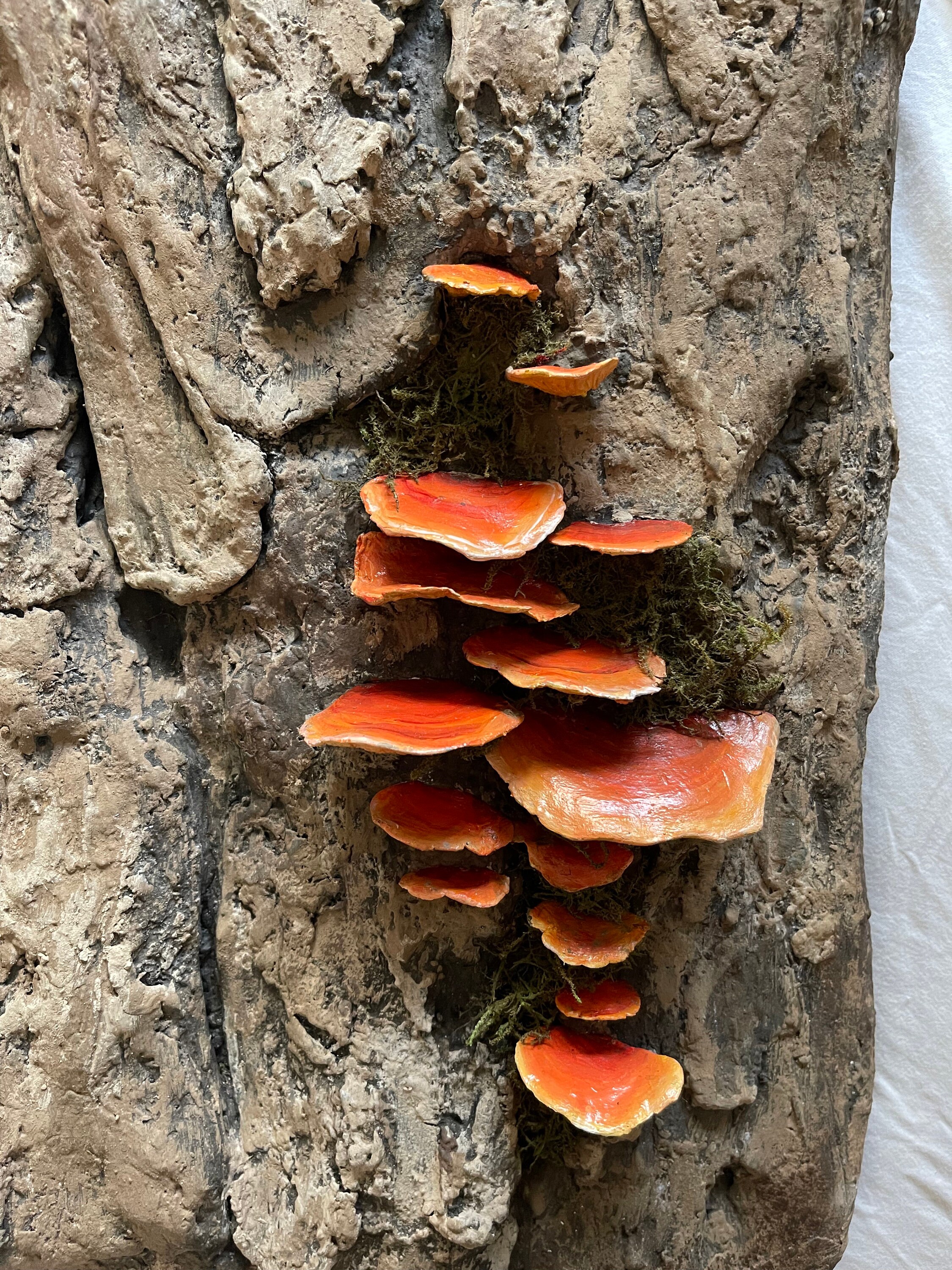 3D Tree Bark Canvas Wall Art Sculpture With Mushrooms & Preserved Moss ...