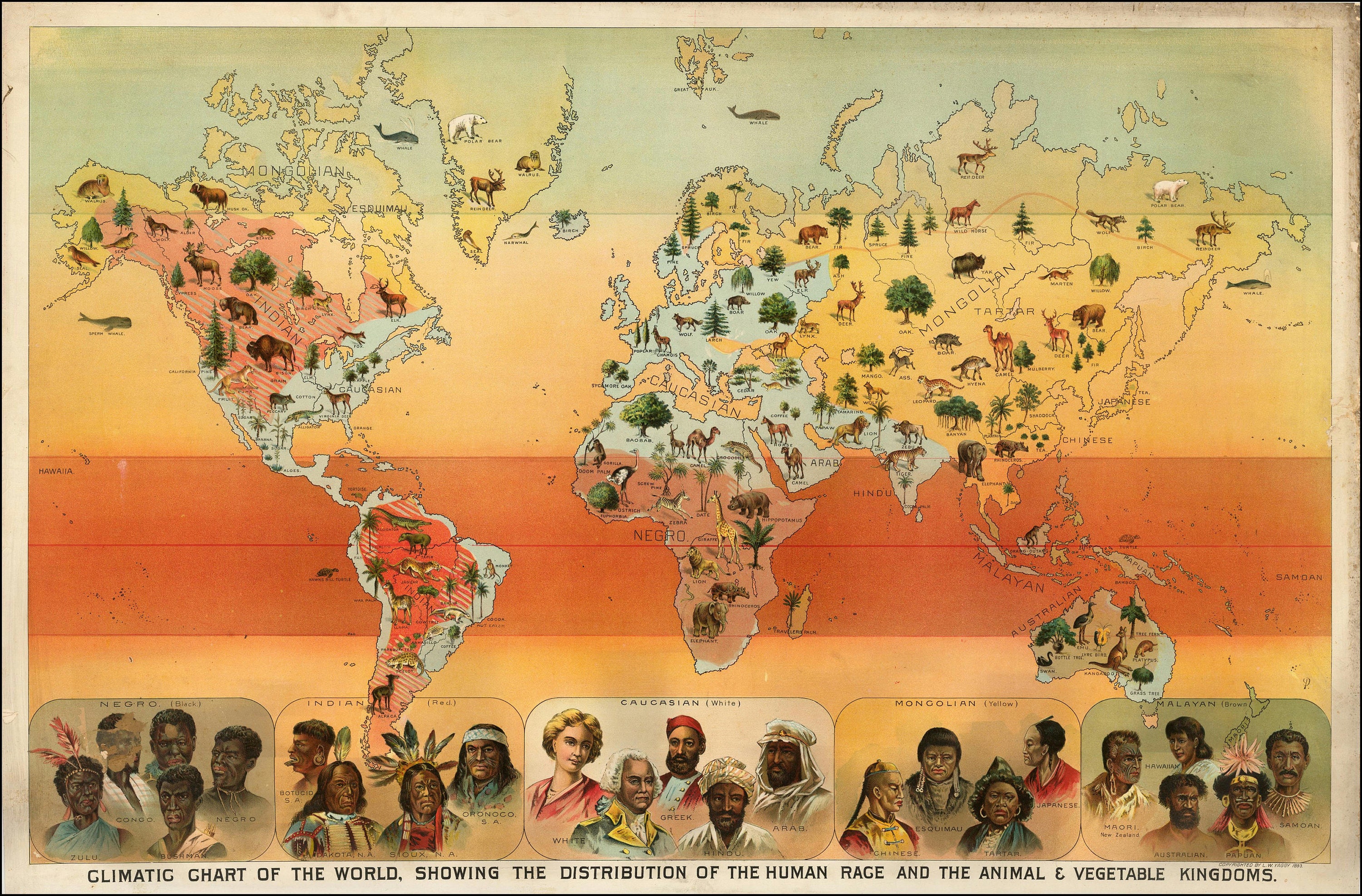 1983 Vintage Geographical Climatic Chart Print Old World Map ...