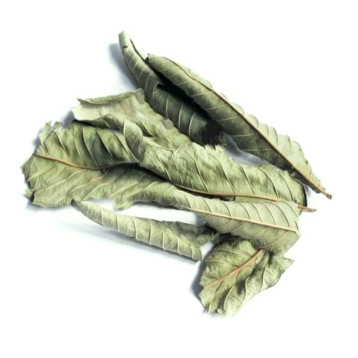 Organic Guava Leaves, Guava Leaf Tea - Pure Herbal Tea - Etsy