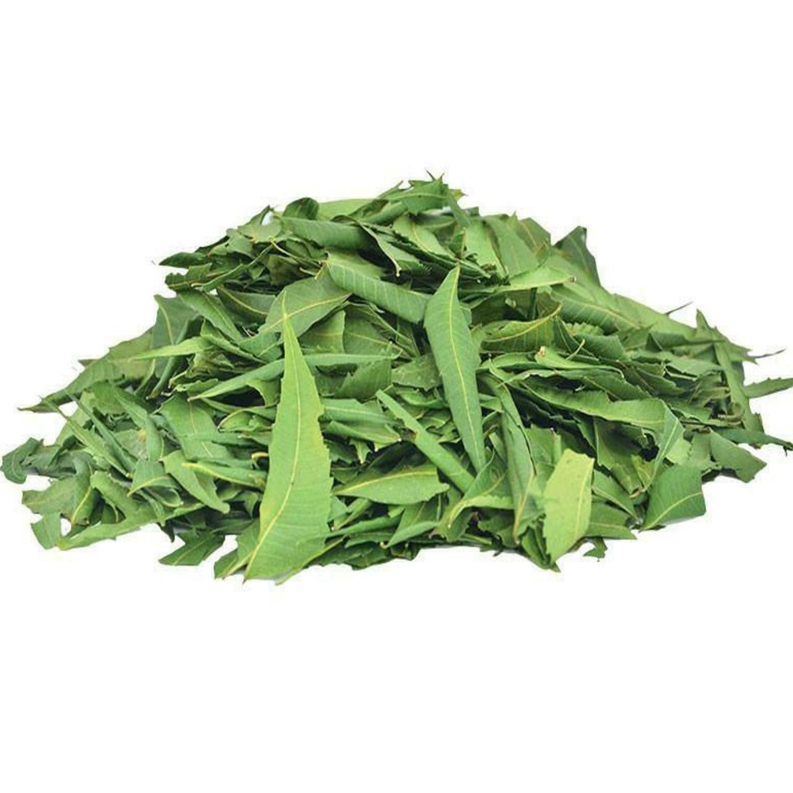 Organic Neem Leaf Leaves Neem Leaf Neem Leaves Dried Neem Leaf - Etsy