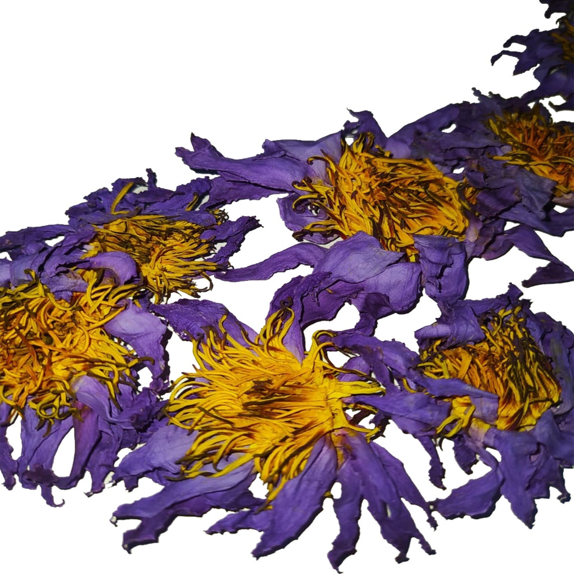 Dried Organic Blue Lotus 100g Flowers Nymphaea Caerulea | Etsy