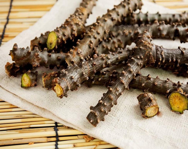 Dried Tinospora cordifolia organic Stem & Roots 50g | Etsy