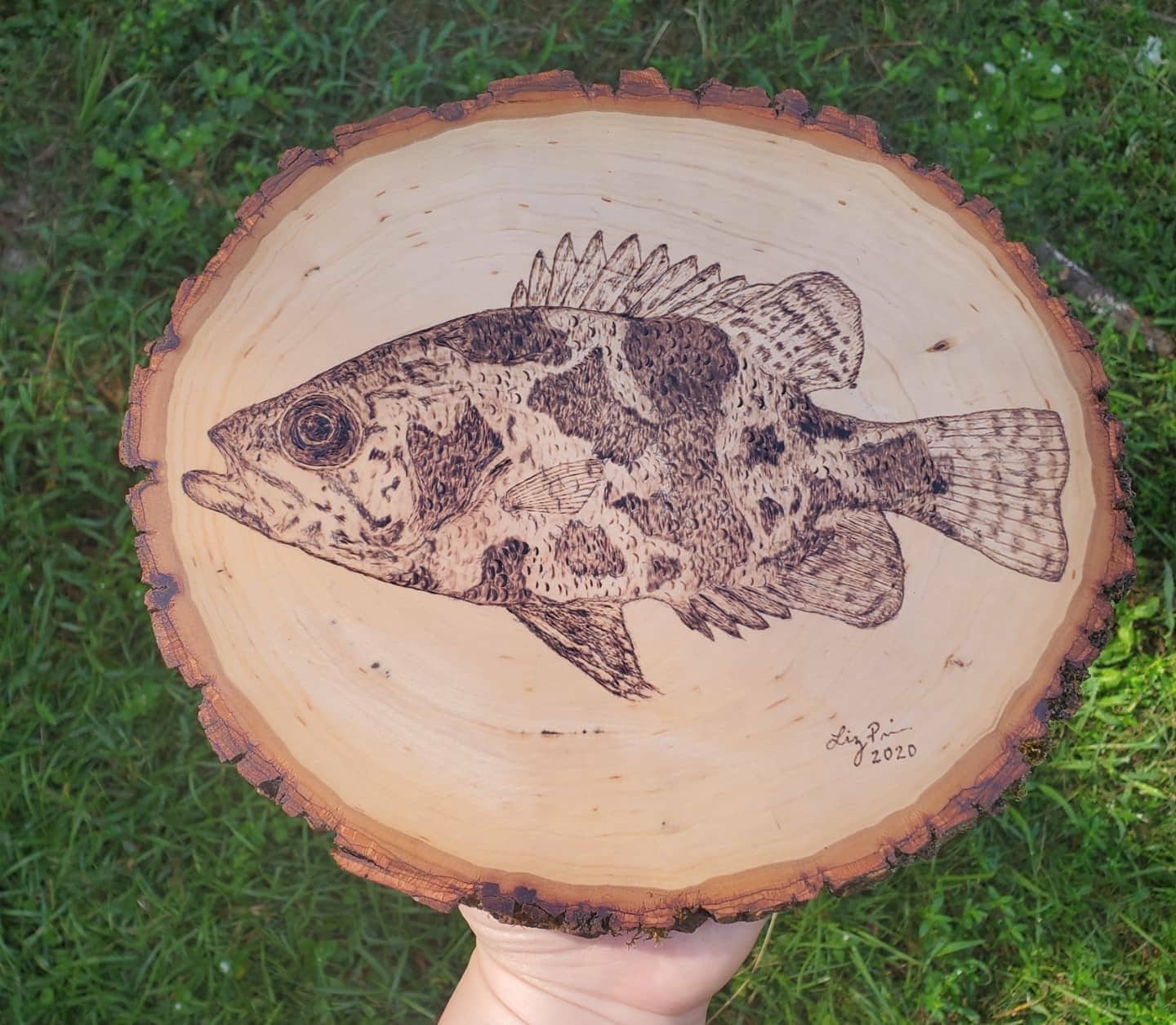 Original Wood-burned Shadow Bass Plaque, Pyrography Freshwater Fish Art ...